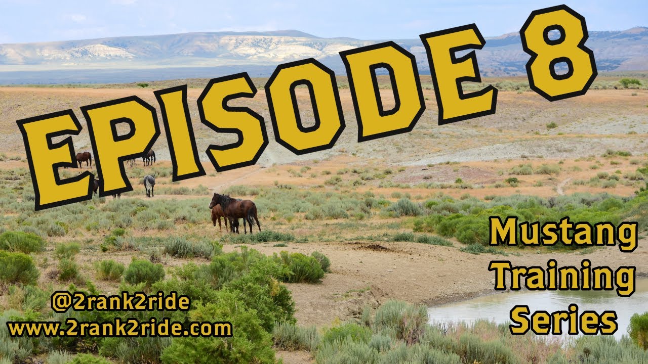 Mustang Training Series EP8 - YouTube
