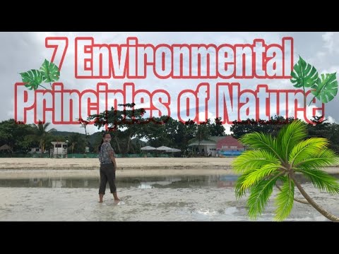 7 Environmental Principles of Nature - YouTube