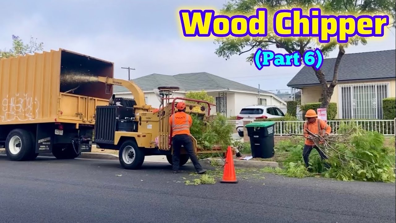 WOOD CHIPPER in Action｜Tree Trimming Crew (Tree Surgeon) At Work (Part ...