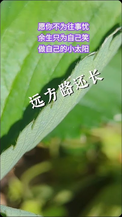 愿你不为往事忧余生只为自己笑做自己的小太阳 Enjoy Chinesemusic Enjoymusic 音樂 分享 享受生活 Healing Youtube
