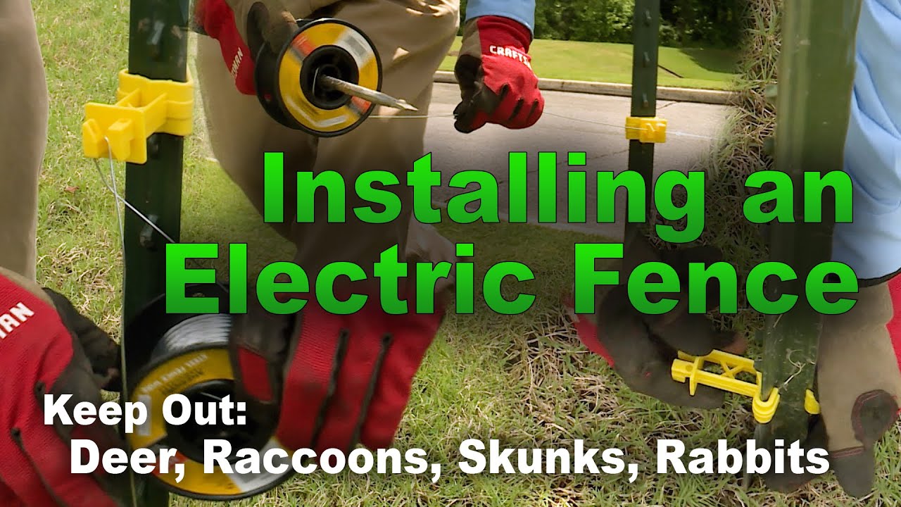 Installing an Electric Fence – Family Plot - YouTube
