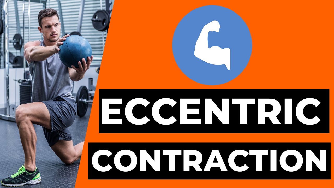 Eccentric Contraction: How Eccentric Exercise Help Tendinopathy - YouTube