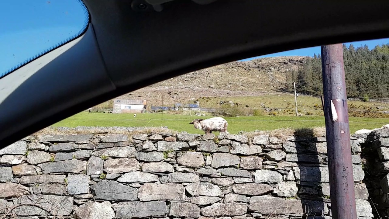 Wales boyo - YouTube