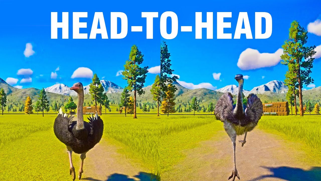Common Ostrich vs Greater Rhea A Head to Head Speed Race in Planet Zoo ...