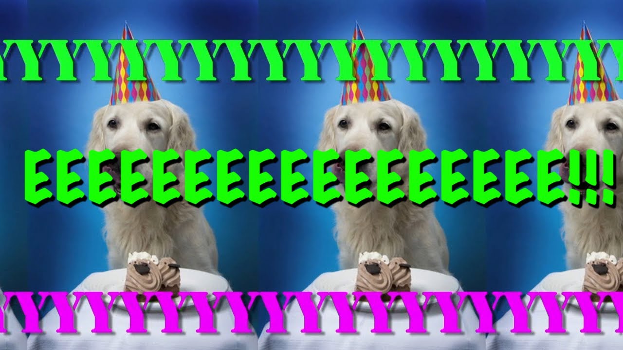 HAPPY BIRTHDAY EEEEEEEEEEEEEEEEE! - EPIC Happy Birthday Song - YouTube