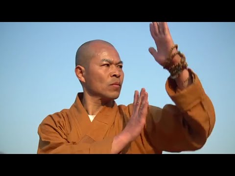 Shaolin Kung Fu: small Luohan 18 Hands, fighting techniques (read ...