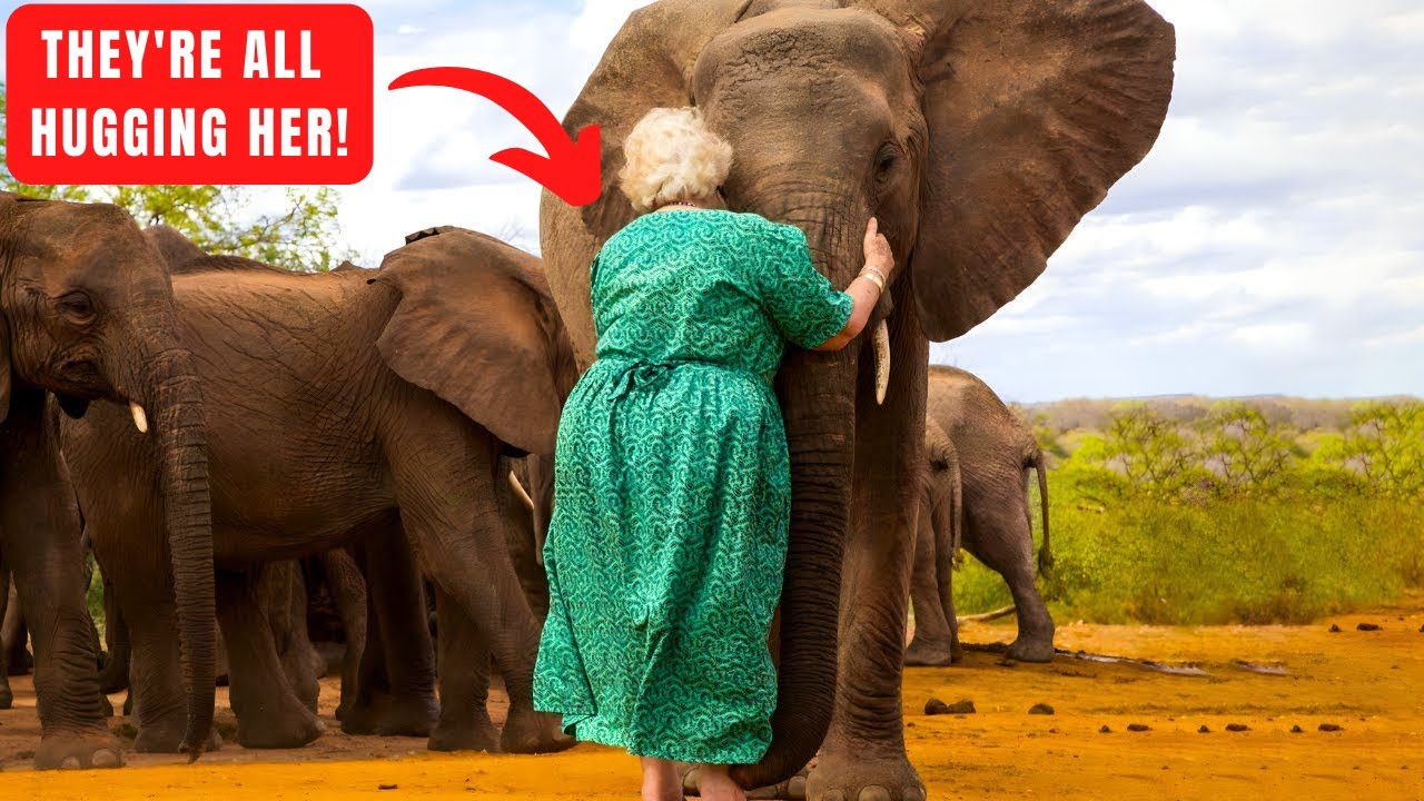 Heartwarming Reason Why These Elephants Form a Line to HUG This Woman ...