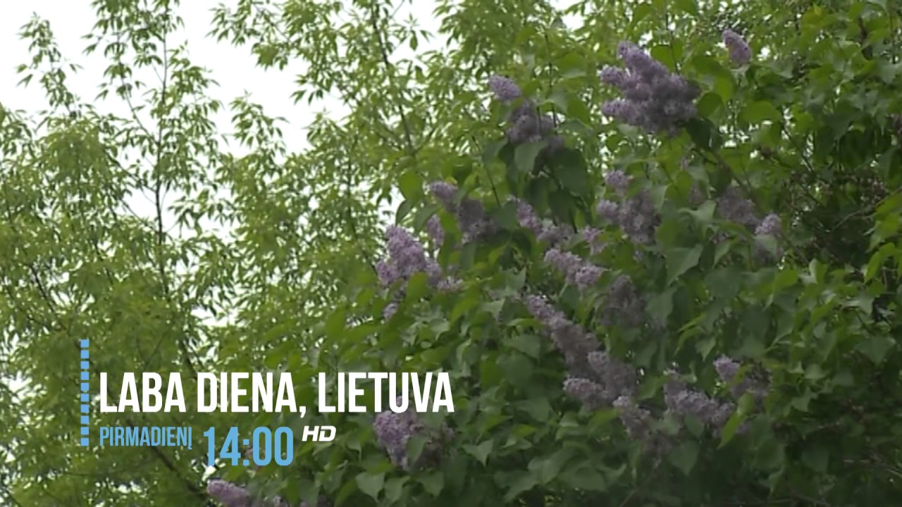 Laba diena, Lietuva | 2017-05-22 anonsas - YouTube