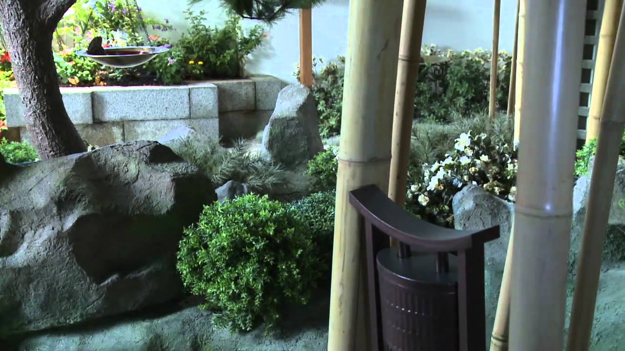 Audubon Insectarium Insect & Bug Tour - New Orleans, Louisiana - YouTube