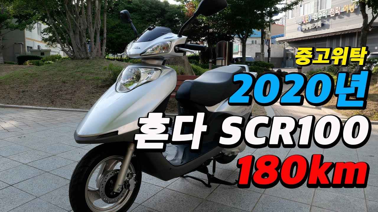 2020년식 혼다 SCR 100 중고 위탁 - YouTube