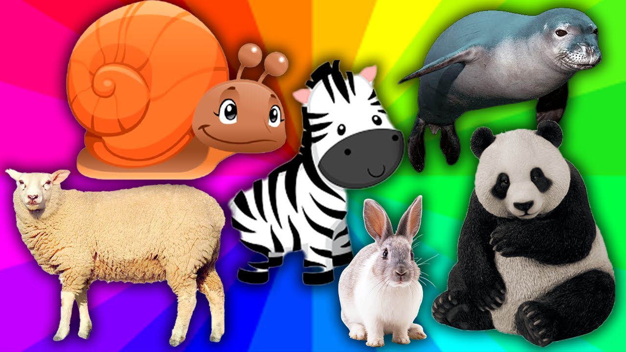 The Animals Perform Daily Activities – Bee, Elephant, Rabbit, Ladybug ...