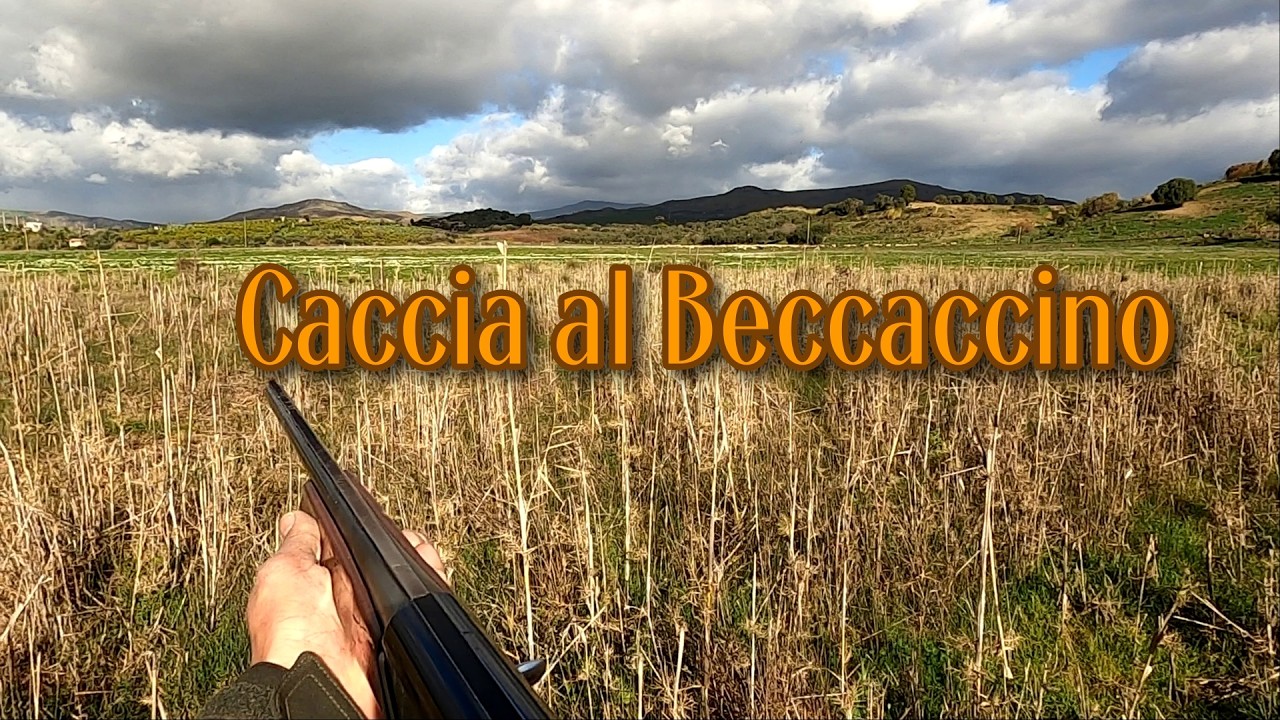 Caccia al Beccaccino con sorpresa imprevista....non è Lapo il cane da ...