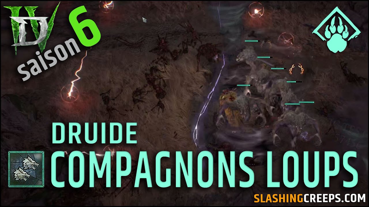 Build Druide Compagnon Loup Diablo 4 Patch 2.0 Saison 6 Vessel of ...