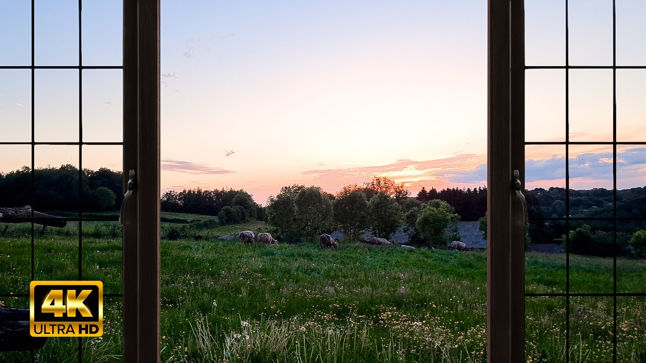 4K Countryside Evening Ambience Window view with Nature Sounds ...