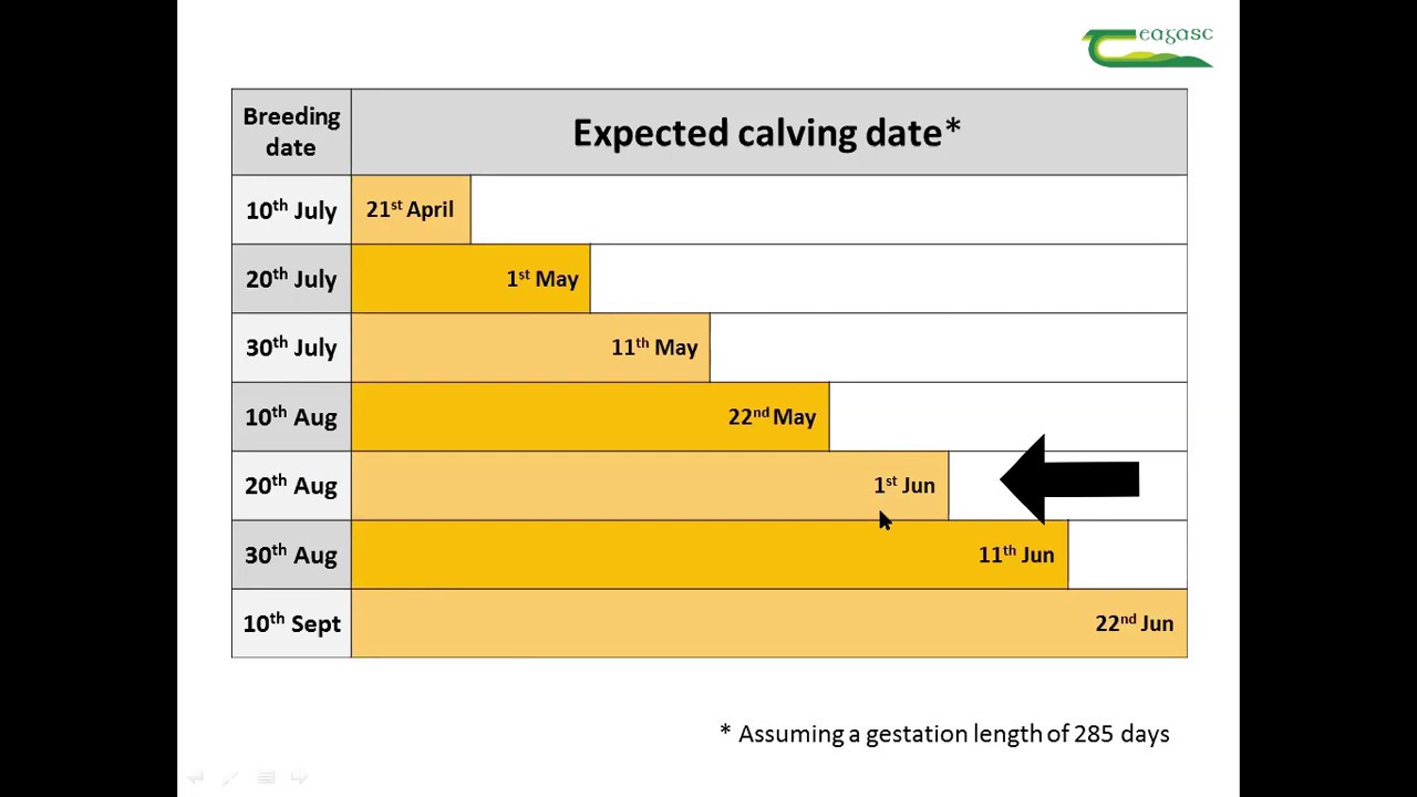 Quantifying the volume of milk produced by late calvers over winter ...