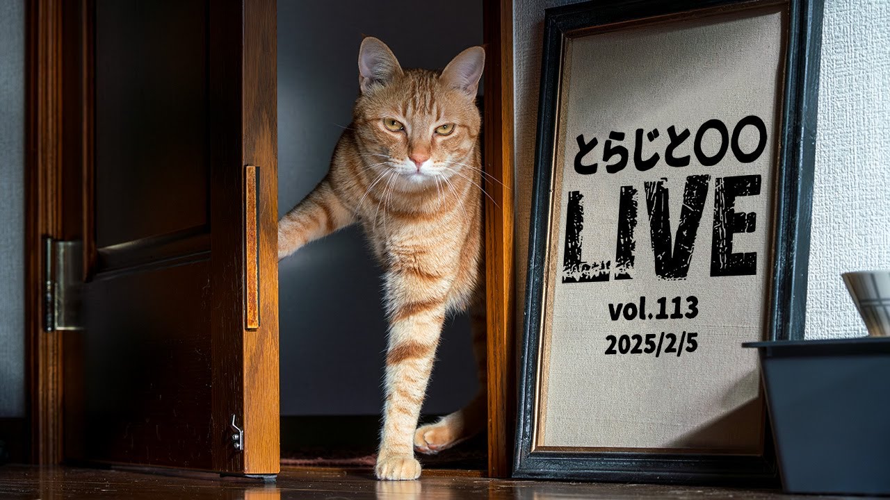 とらじと〇〇 LIVE113 - YouTube