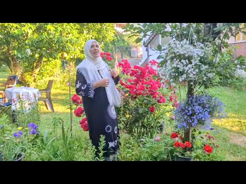 Kartepe'nin Gülleri Ve Bunca Çaba