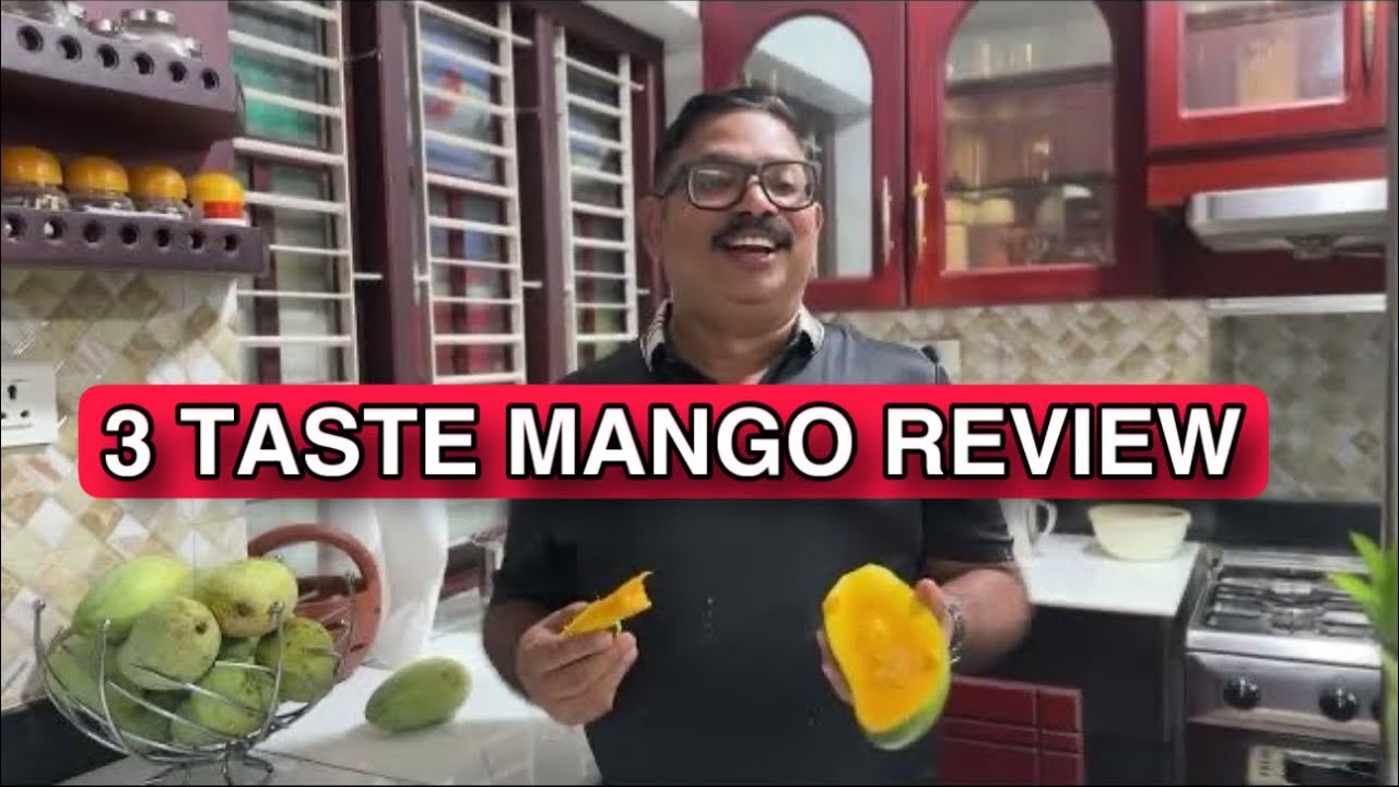 3 TASTE MANGO REVIEW #razzgarden #9562600777 - YouTube