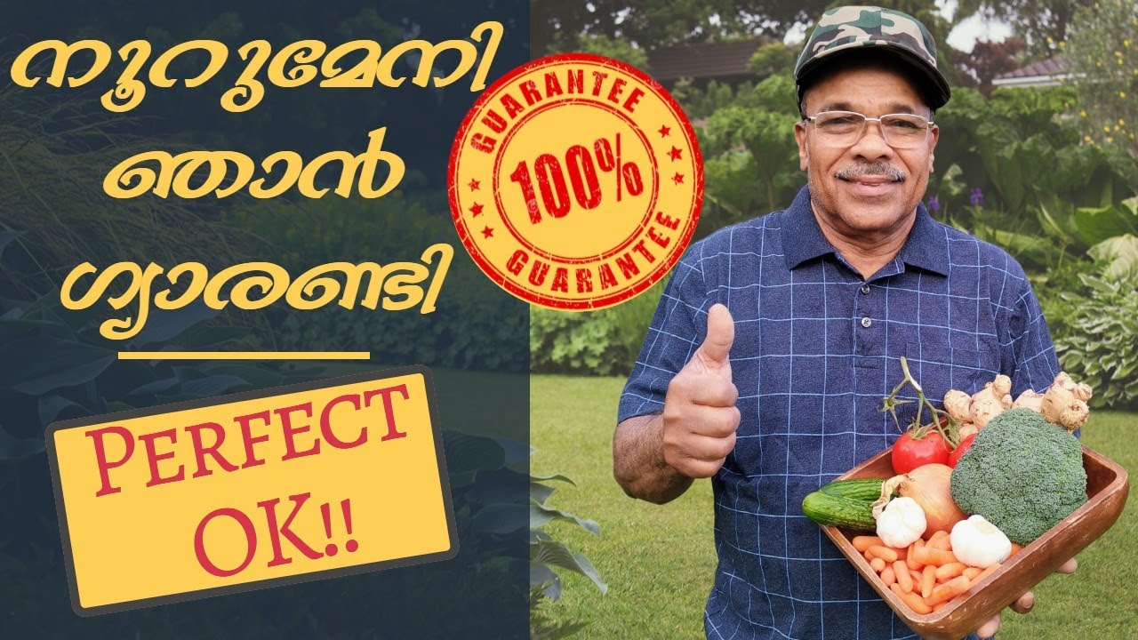 𝗛𝗼𝘄 𝘁𝗼 𝗽𝗹𝗮𝗻𝘁 𝗣𝗮𝘃𝗮𝗹, 𝗣𝗮𝗱𝗮𝘃𝗮𝗹𝗺, 𝗩𝗲𝗻𝗱𝗮 & 𝗠𝘂𝗹𝗮𝗸𝘂 𝗳𝗿𝗼𝗺 𝗦𝗲𝗲𝗱𝘀 | Backyard ...