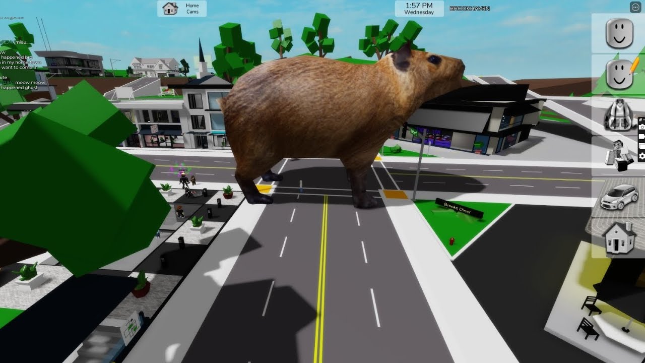 New Giant CAPYBARA UGC Glitch/Bug Items In Brookhaven RP ID/CODES ROBLOX - YouTube