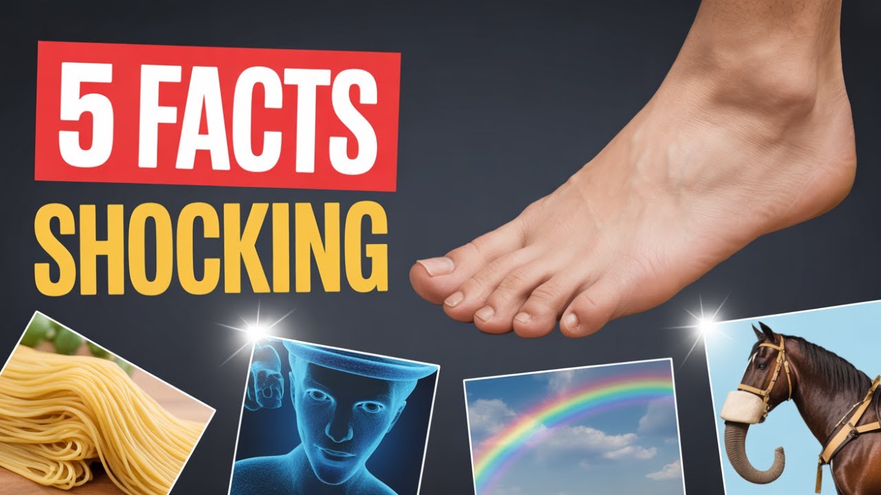 5 Amazing Facts that will blow your mind | 5 facts series #13 ...