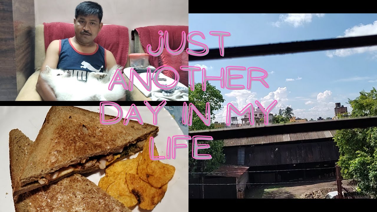 "Just another day in my Life" - YouTube