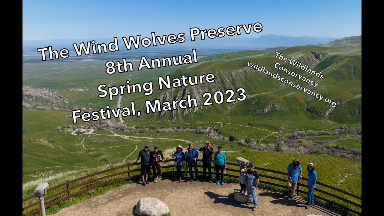 A Docent's Visions from The Wildlands Conservancy: The Wind Wolves ...