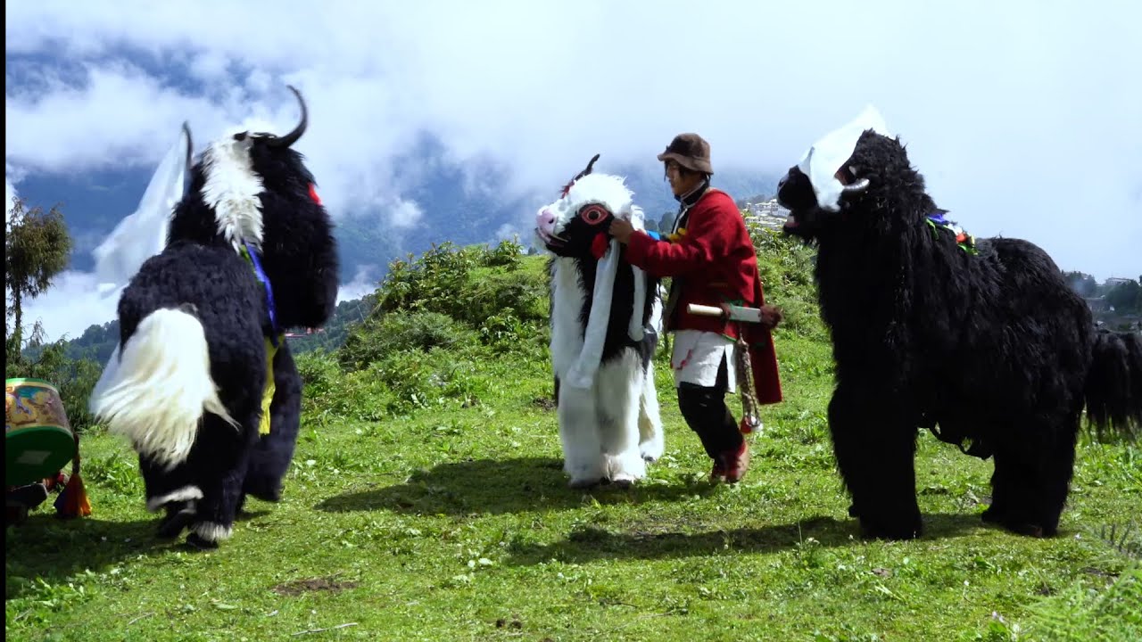 Yak Cham # Yak Dance by Snow Lion Cultural Society Tawang. - YouTube