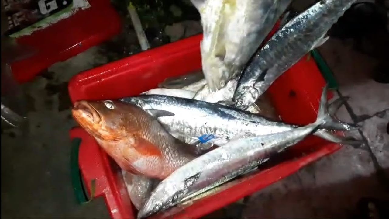 Mancing Tenggiri Di Pulau 1000 - YouTube