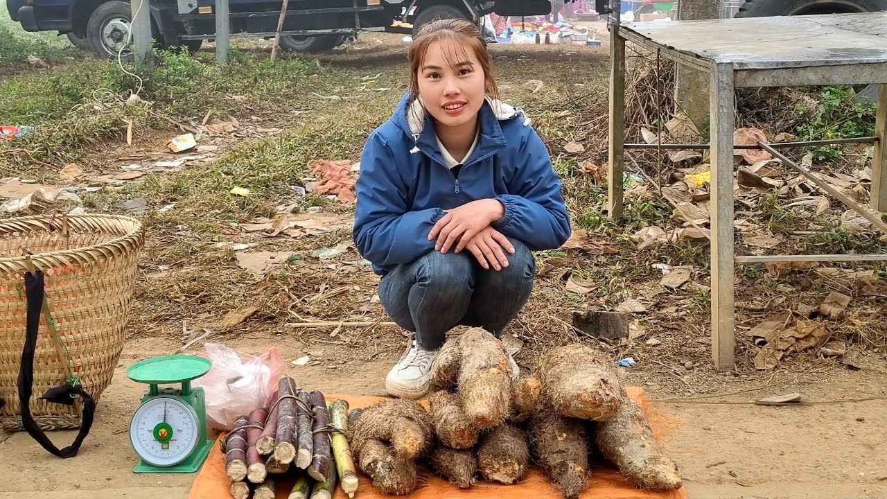 FULL VIDEO: harvesting wild tubers, green vegetables to bring to the ...