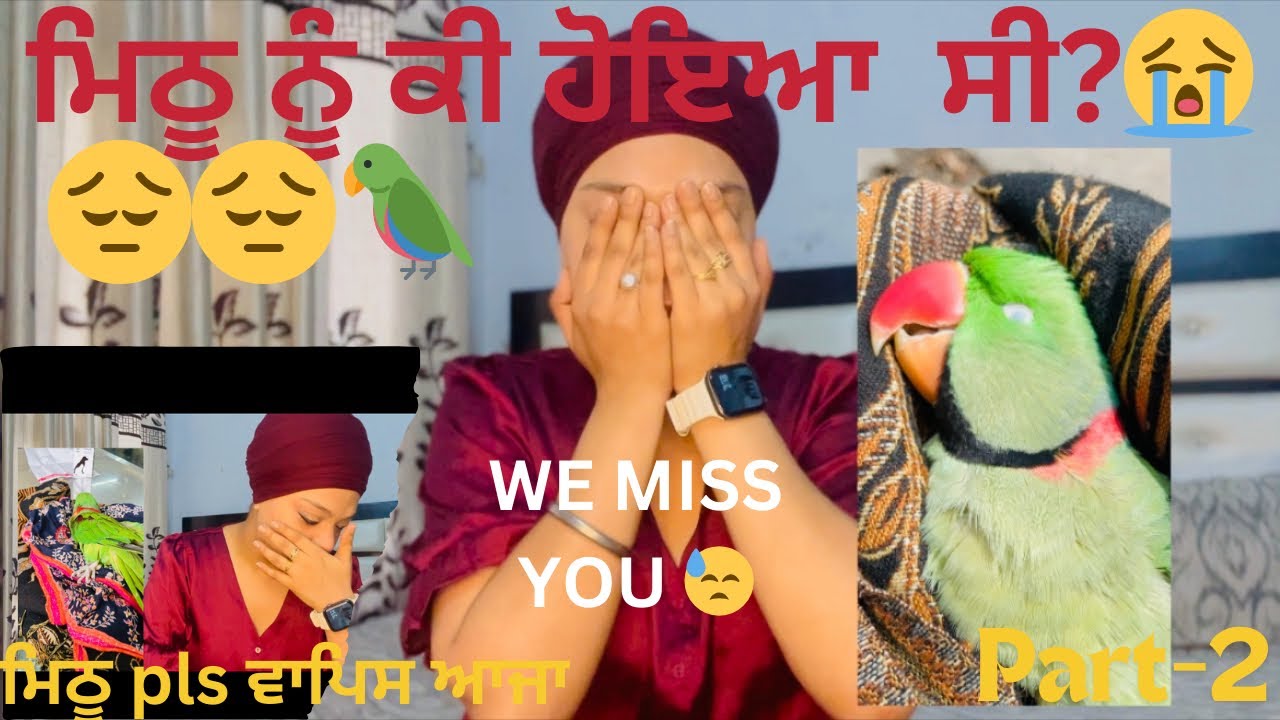 I AM SORRY Mithu ਮੈਂ ਤੇਨੂੰ ਨਹੀਂ ਬਚਾ ਪਾਈ 😔😭|| WE ALL MISS U MITHU || #RIPMITHU ️🦜😓 - YouTube