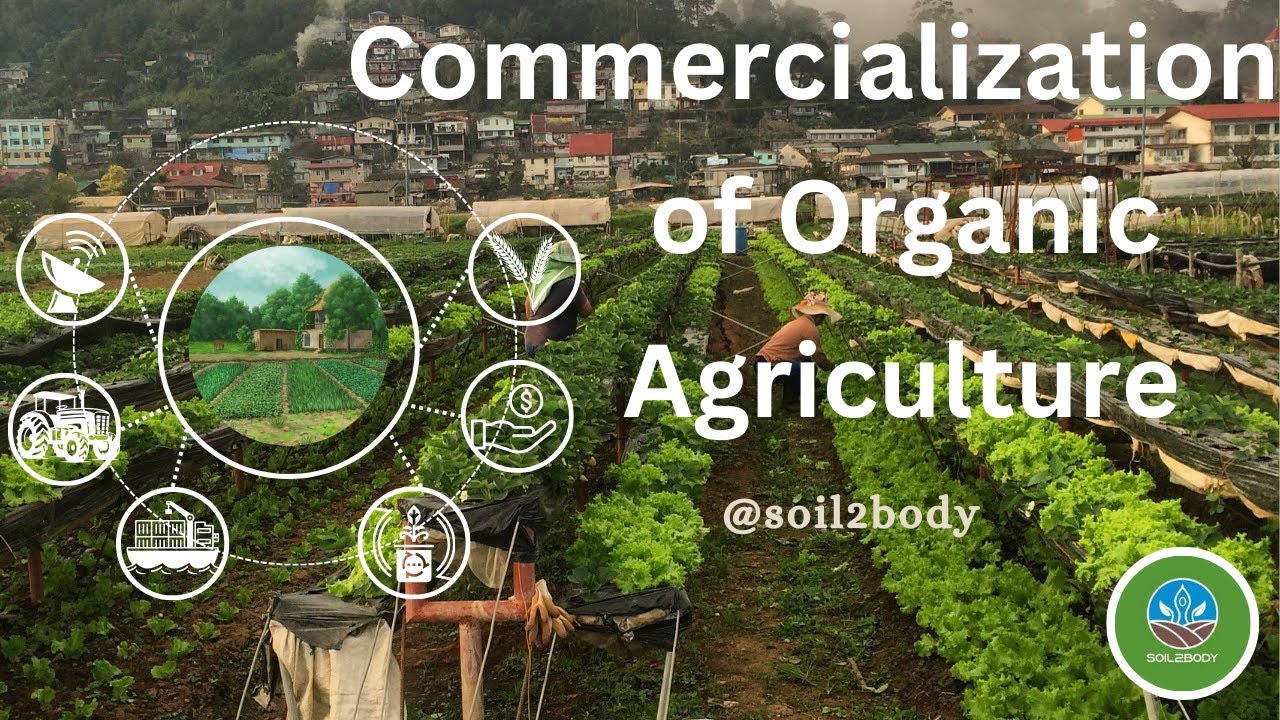 Commercialization of Organic Agriculture | Make organic agriculture ...