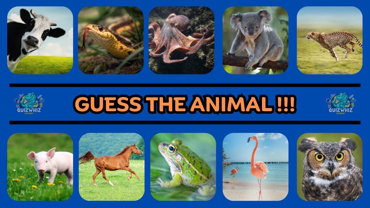 Animal Challenge!! (Are you able to guess them all...) - YouTube