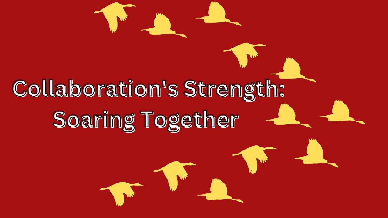 Collaboration's Strength: Soaring Together #personalgrowthtips ,#unity ...