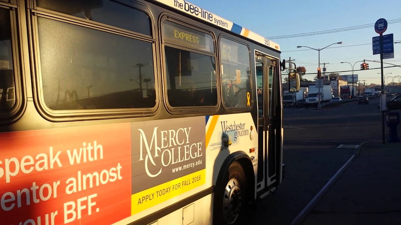 Bee-Line Bus: Neoplan AN460 [#563] Route 62 at Boston Rd & Connor St ...