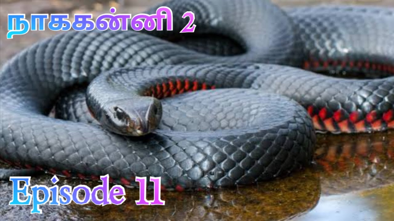 Nagakanni episode 11 Yakshikha's strange behaviour Tamil naagin serial ...