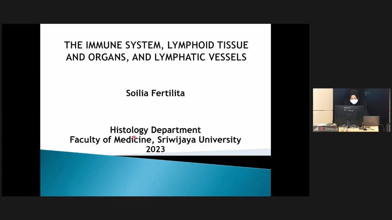 KH7. Histologi Organ Limfoid dan Sistem Imun - YouTube