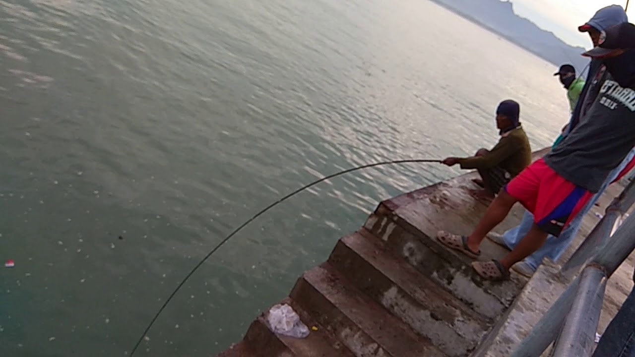 Strike Mancing GT Dermaga Pacitan - YouTube