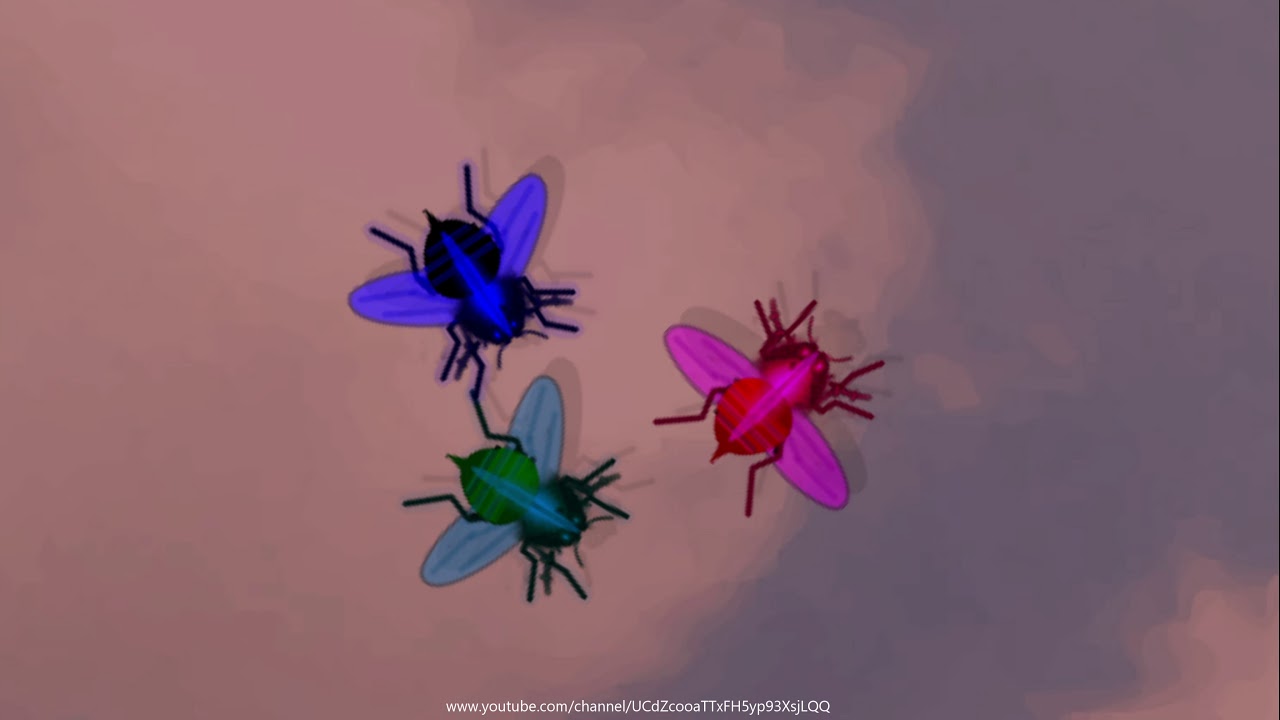 fly flies game for cat - муха летает игра для кота - YouTube