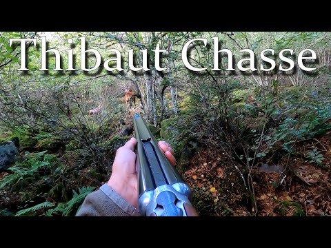 Chasse aux Cerfs : tirs sur biche et cerf au ferme ! - YouTube