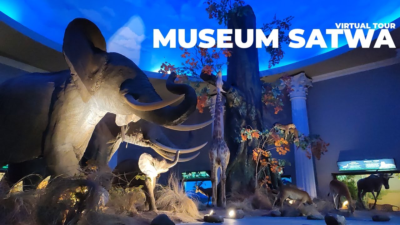 MUSEUM SATWA TERBESAR DI INDONESIA !! Batu Secret Zoo - Jatim Park 2 ...