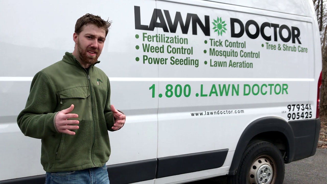 Lawn Doctor Aeration and Seeding - YouTube