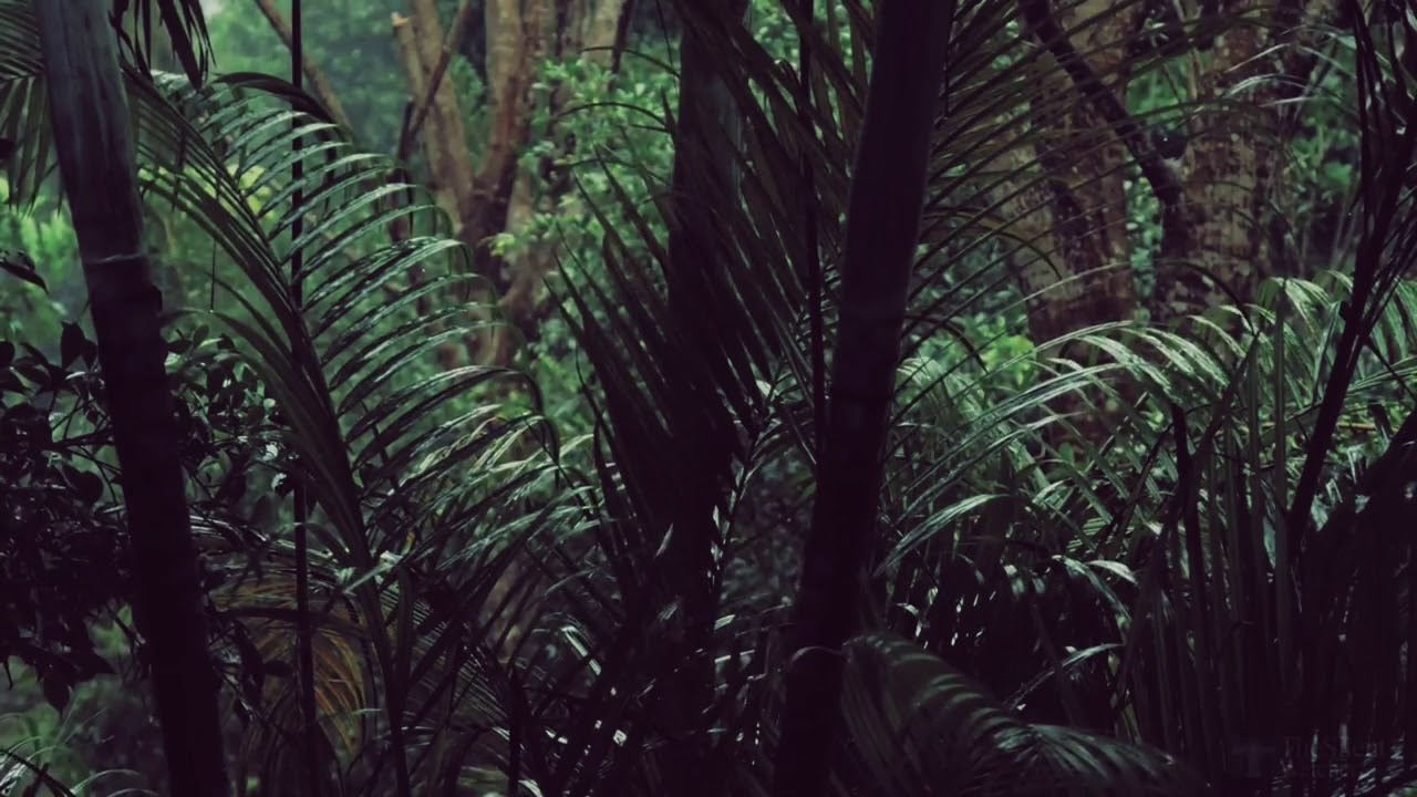 Love and lost (zee) - YouTube