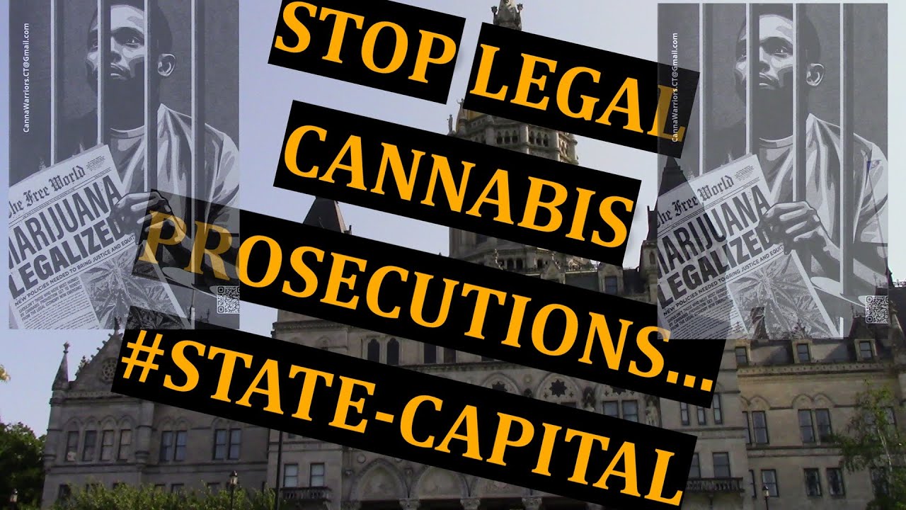CANNABIS COMMUNITY fighting against Regulatory Capture... - YouTube