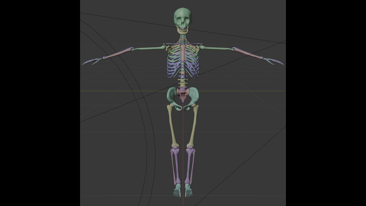Skeleton T Pose - Breakdown - YouTube