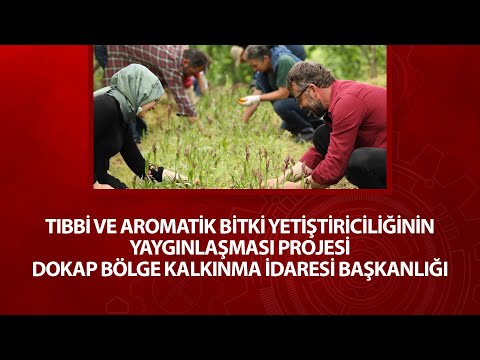 Tıbbi ve Aromatik Bitki Yetiştiriciliğinin Yaygınlaşması Projesi