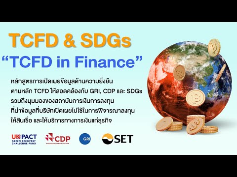 TCFD & SDGs Workshop “TCFD in Finance” - YouTube