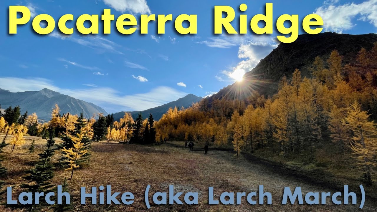 South Pocaterra Ridge, ALBERTA - YouTube