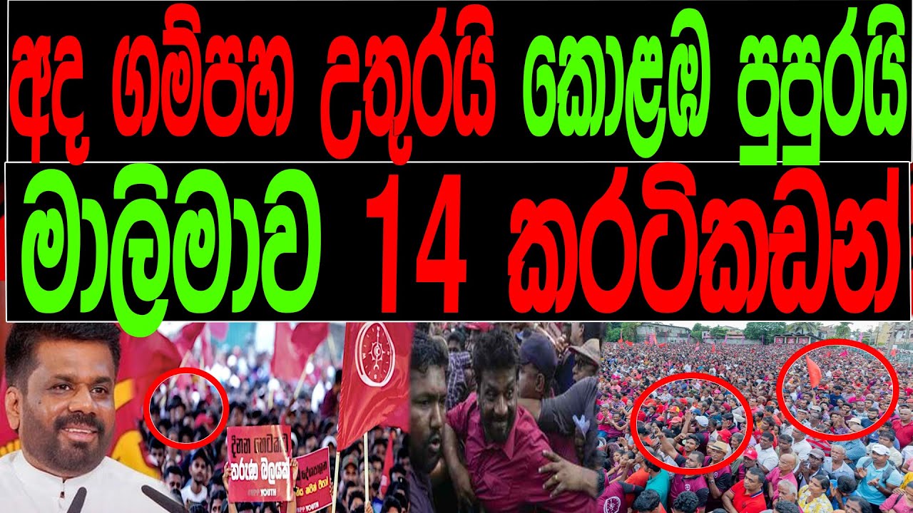 අද ගම්පහ උතුරයි කොළඹ පුපුරයි මාලිමාව 14 කරටි කඩන්.malimawa - YouTube