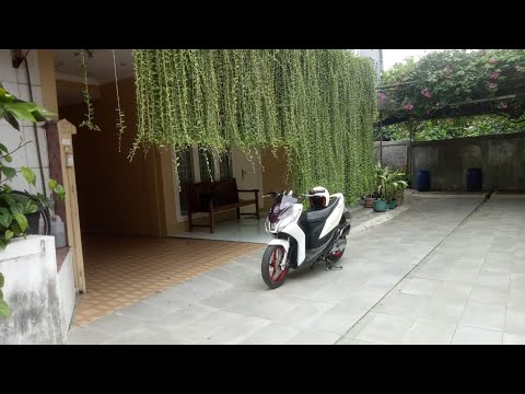 Spacy Modif PCX (part 2) preview - YouTube